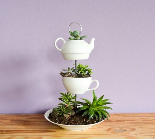 20 Unique & Fun DIY Succulent Planters