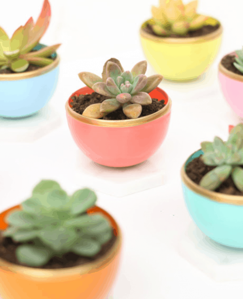 20 Unique & Fun DIY Succulent Planters