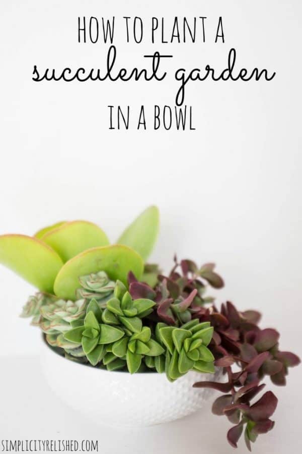 20 Unique & Fun DIY Succulent Planters