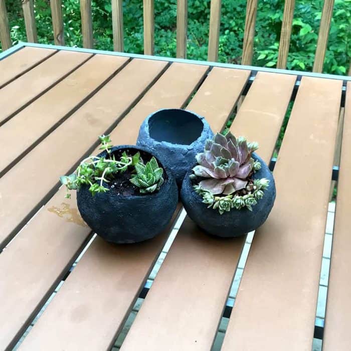 20 Unique & Fun DIY Succulent Planters