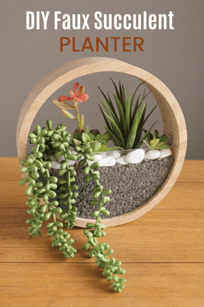 20 Unique & Fun DIY Succulent Planters