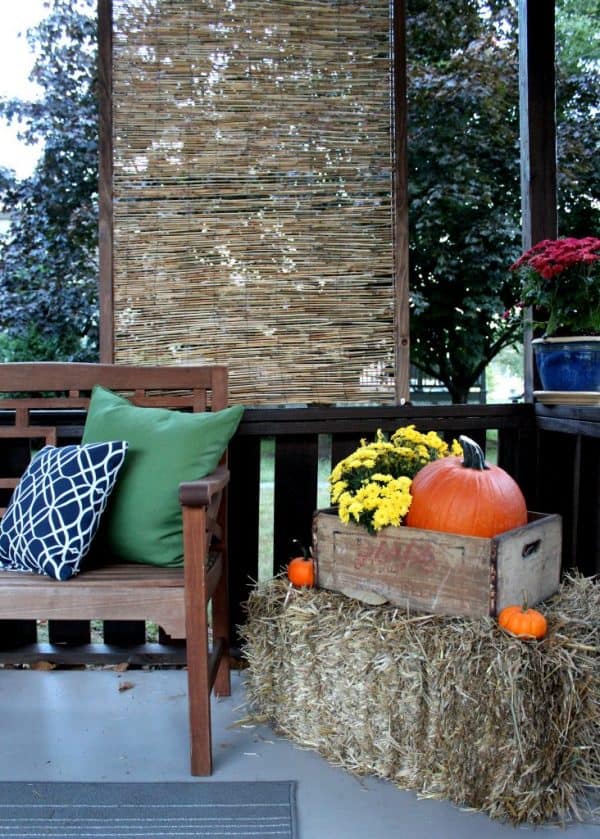 30 DIY Outdoor Privacy Screen Ideas